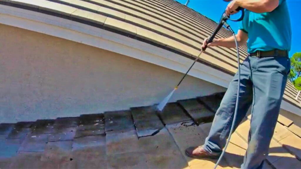 Las Vegas Pigeon Control and Removal - Progressive Pest Control